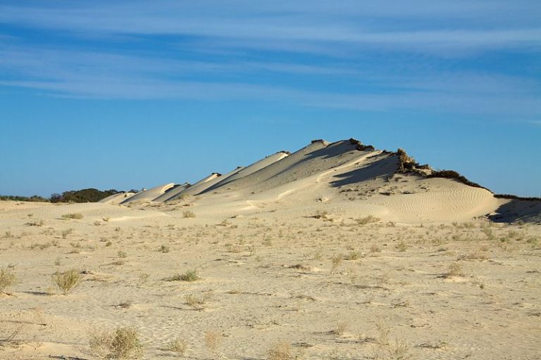 Circuit 5 jours 4 nuits, Tunis – Douz – Douz – Tunis – Siroko Travel